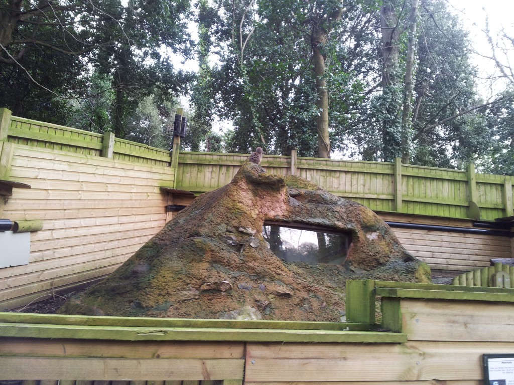 Shaldon Zoo – www.beardchops.com